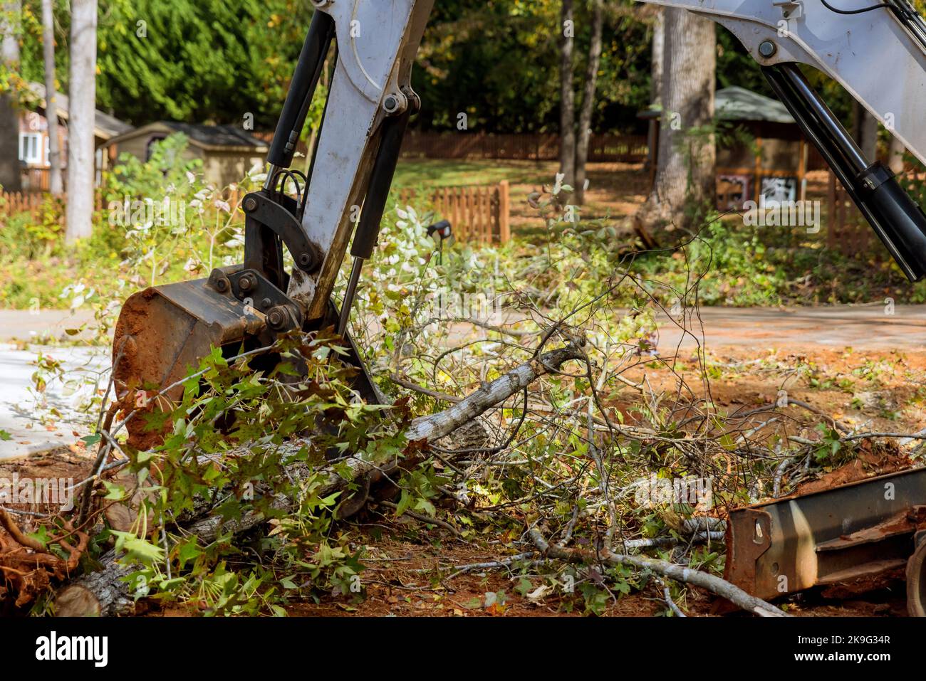 Trees were uprooted by hurricane in neighborhood and fell in street ...