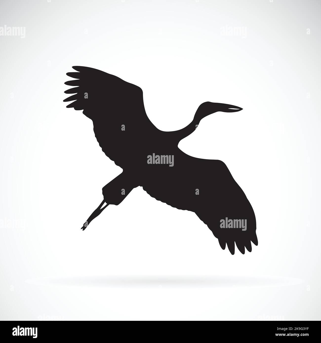 Vector silhouettes of stork flight on white background. Easy editable ...