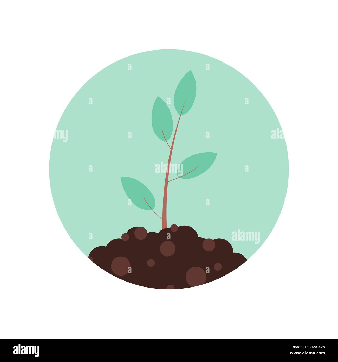Illustration of a young green plant sprout Stock Vector Image & Art - Alamy