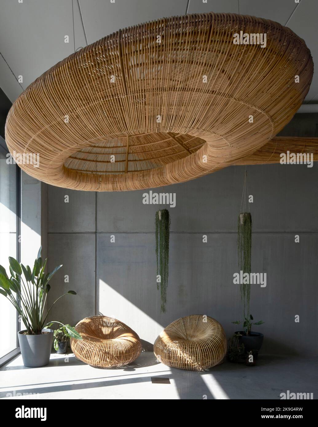 Factory office with curvaceous Rattan installation. Ice Ball Factory ...