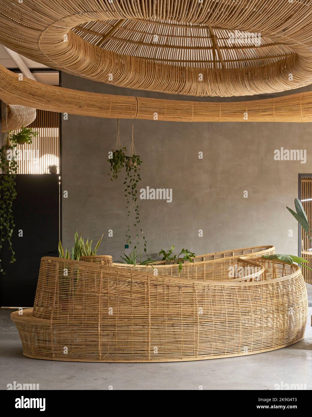 Factory office with curvaceous Rattan installation. Ice Ball Factory ...