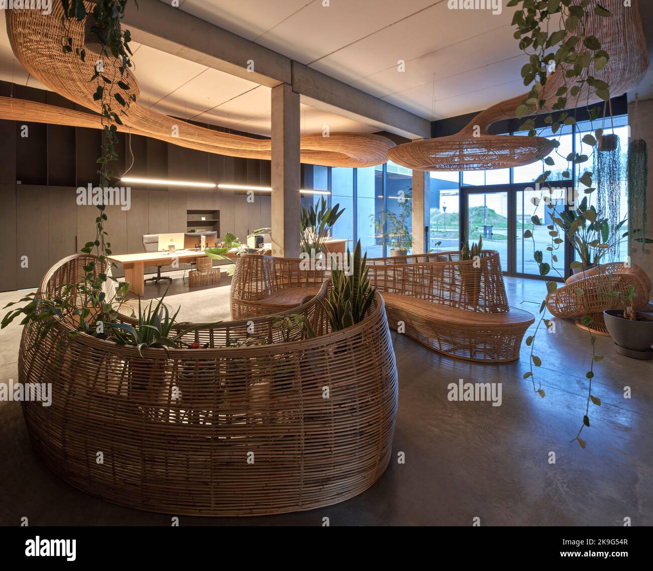 Office space with curvaceous Rattan installation. Ice Ball Factory ...