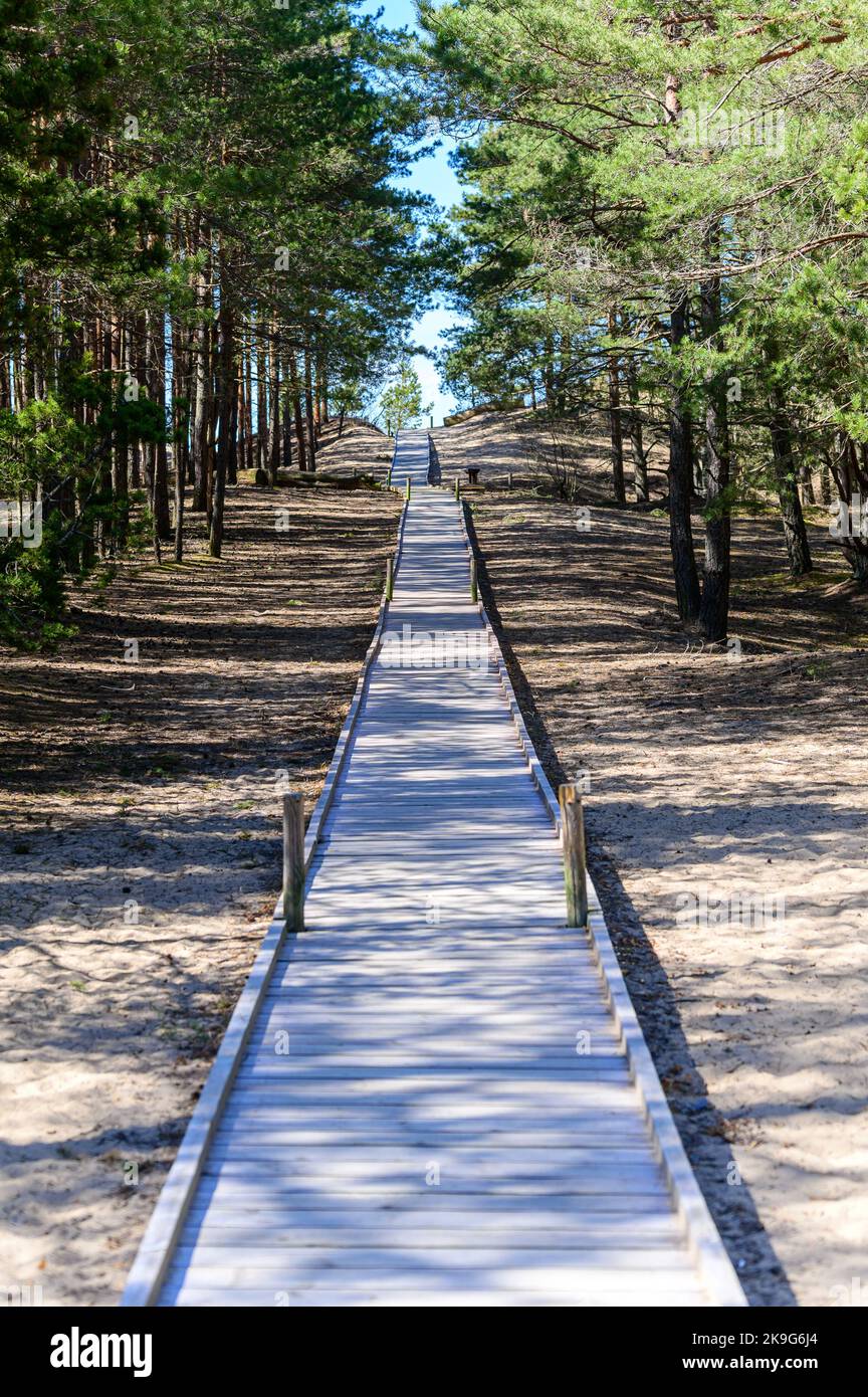 A modern wooden footpath through the forest leading to the seashore ...