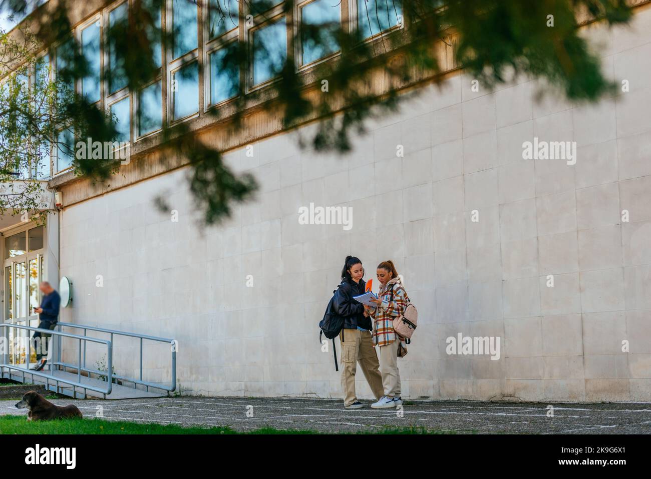 An attractive brunette and blonde high school best friends helping each other in the schools ...