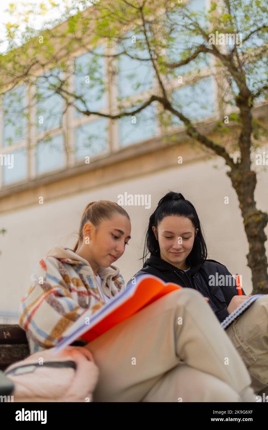Beautiful female high school best friends are doing homework together ...