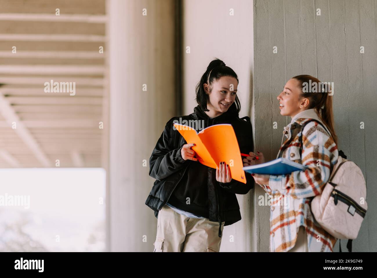 Beautiful girls were revising their lectures when suddenly started ...