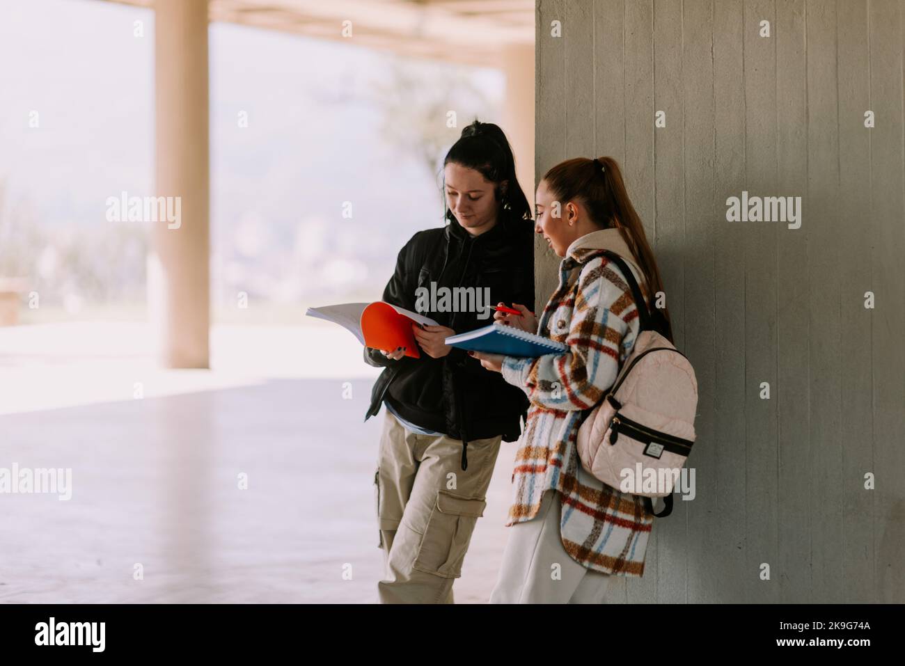 Cute high school teenagers are studying together before exam. One girl ...
