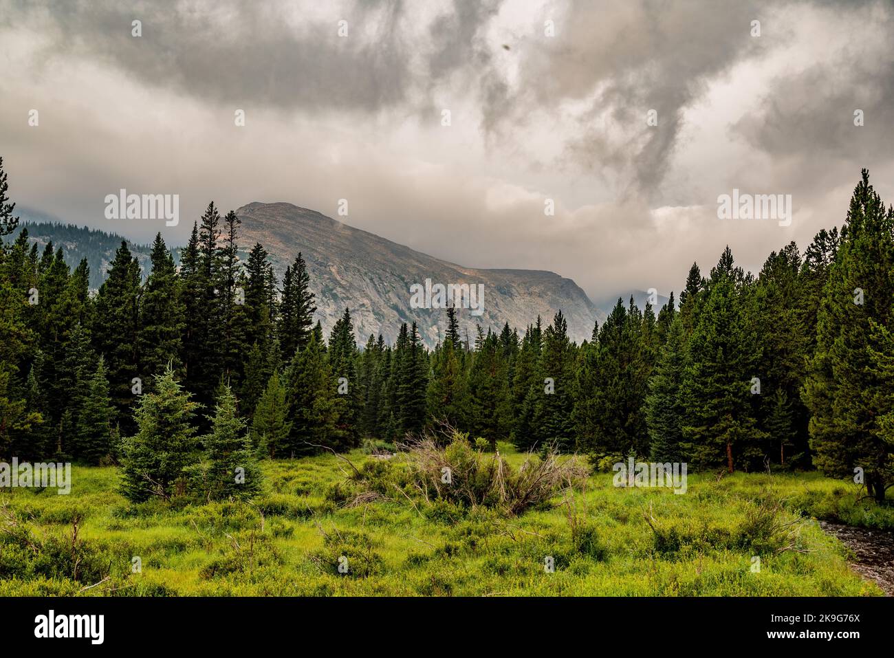 A mountain landscape with tall green trees and a cloudy sky Stock Photo ...