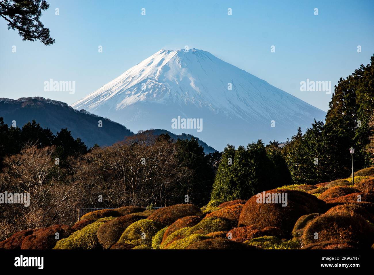 The breathtaking view of the snowy mount Fuji behind the autumn forest ...