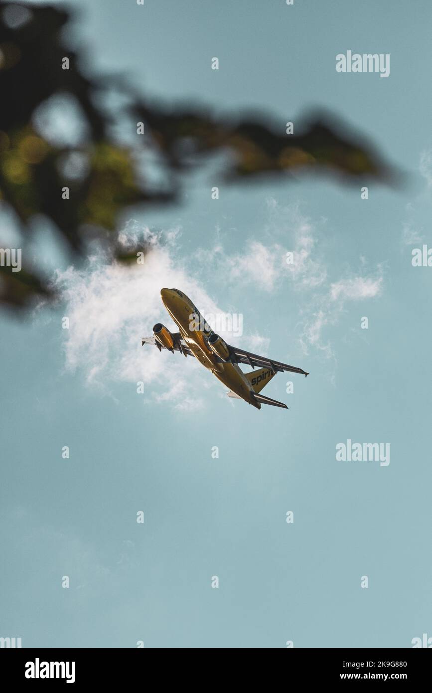 Spirit airlines jet in a tropical island Stock Photo - Alamy