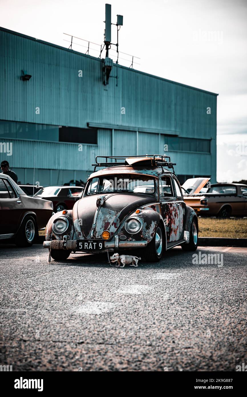A rat rod VW beetle with a skeleton dog Stock Photo - Alamy