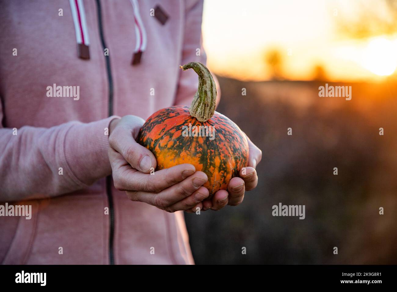 Holding pumpkins hi-res stock photography and images - Alamy