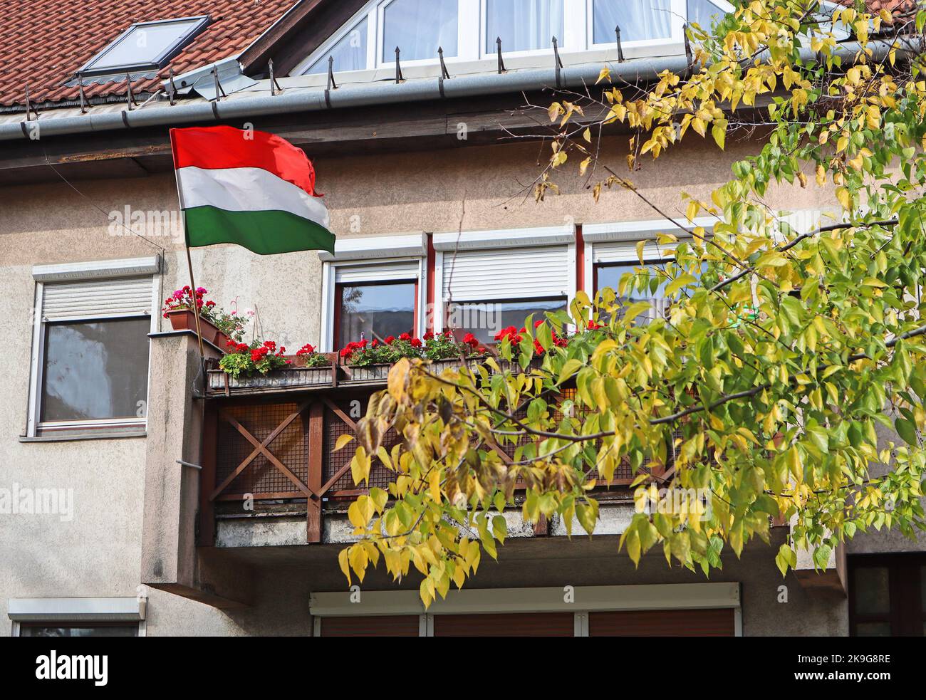 Hungarian national flag at the balcony of a building Stock Photo - Alamy