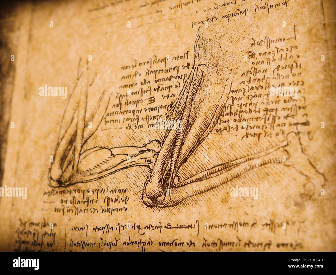 Kandy, Sri Lanka - 17 February 2021: 14th Century Anatomy art by ...