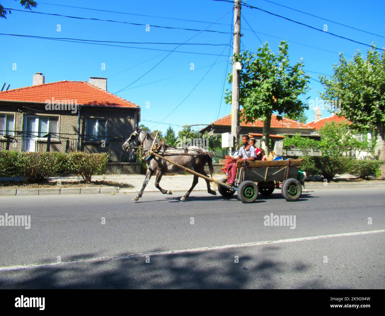 Gypsy horse race hi-res stock photography and images - Alamy