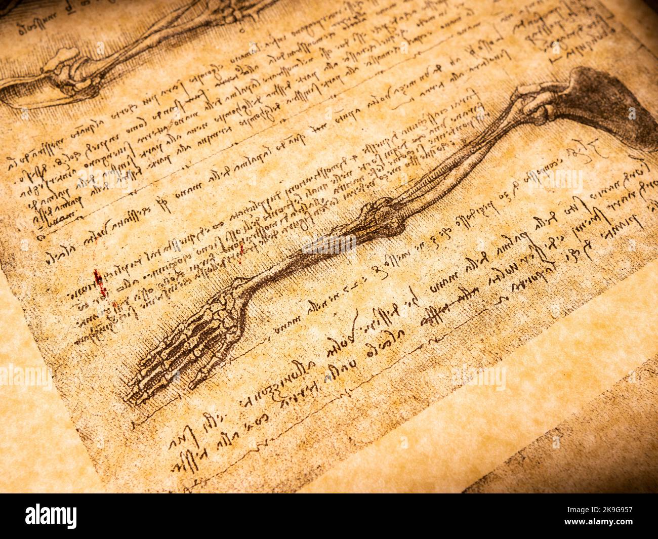 Kandy, Sri Lanka - 17 February 2021: 14th Century Anatomy art by ...