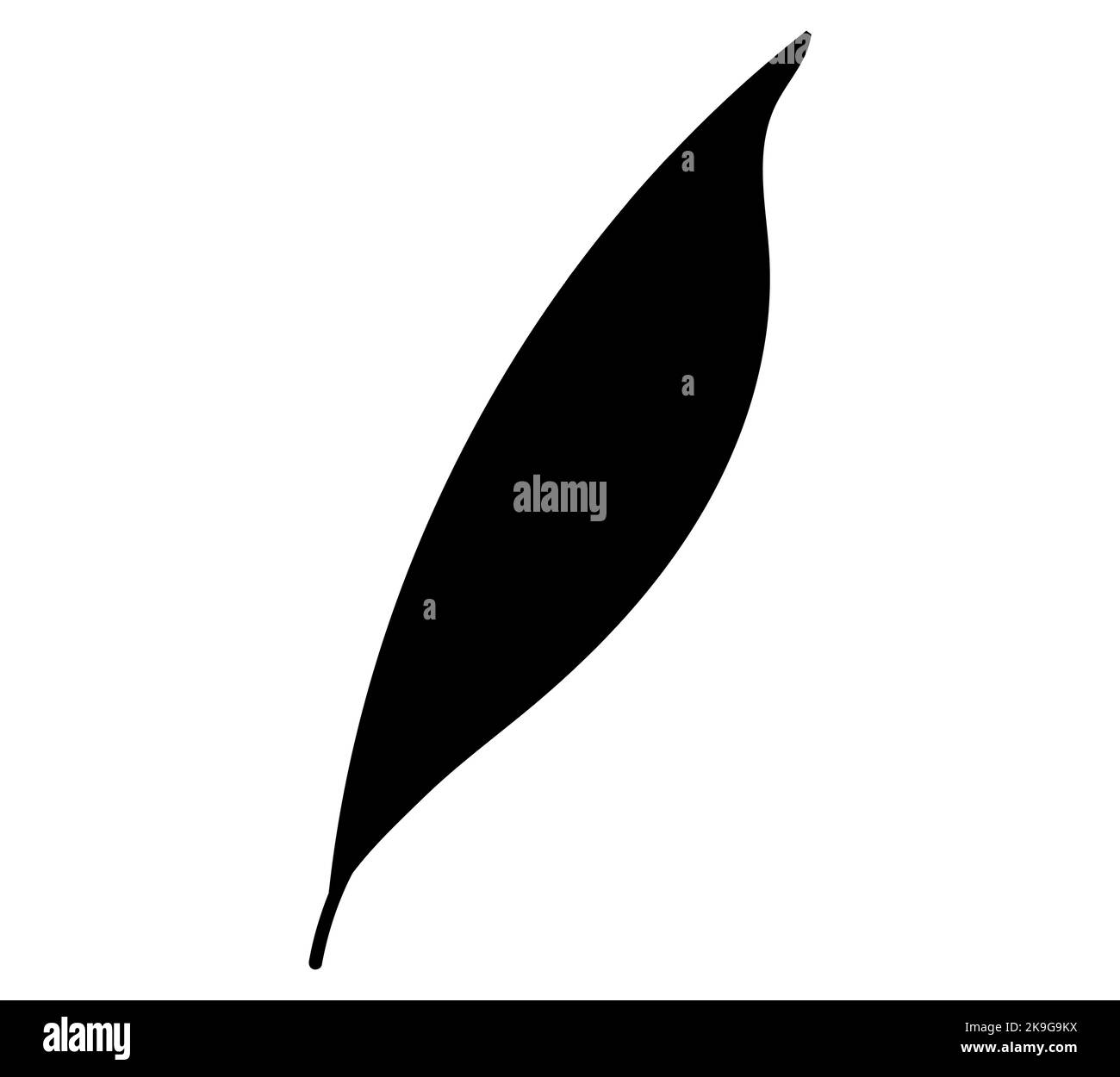 Jungle leaf vector Black and White Stock Photos & Images - Alamy