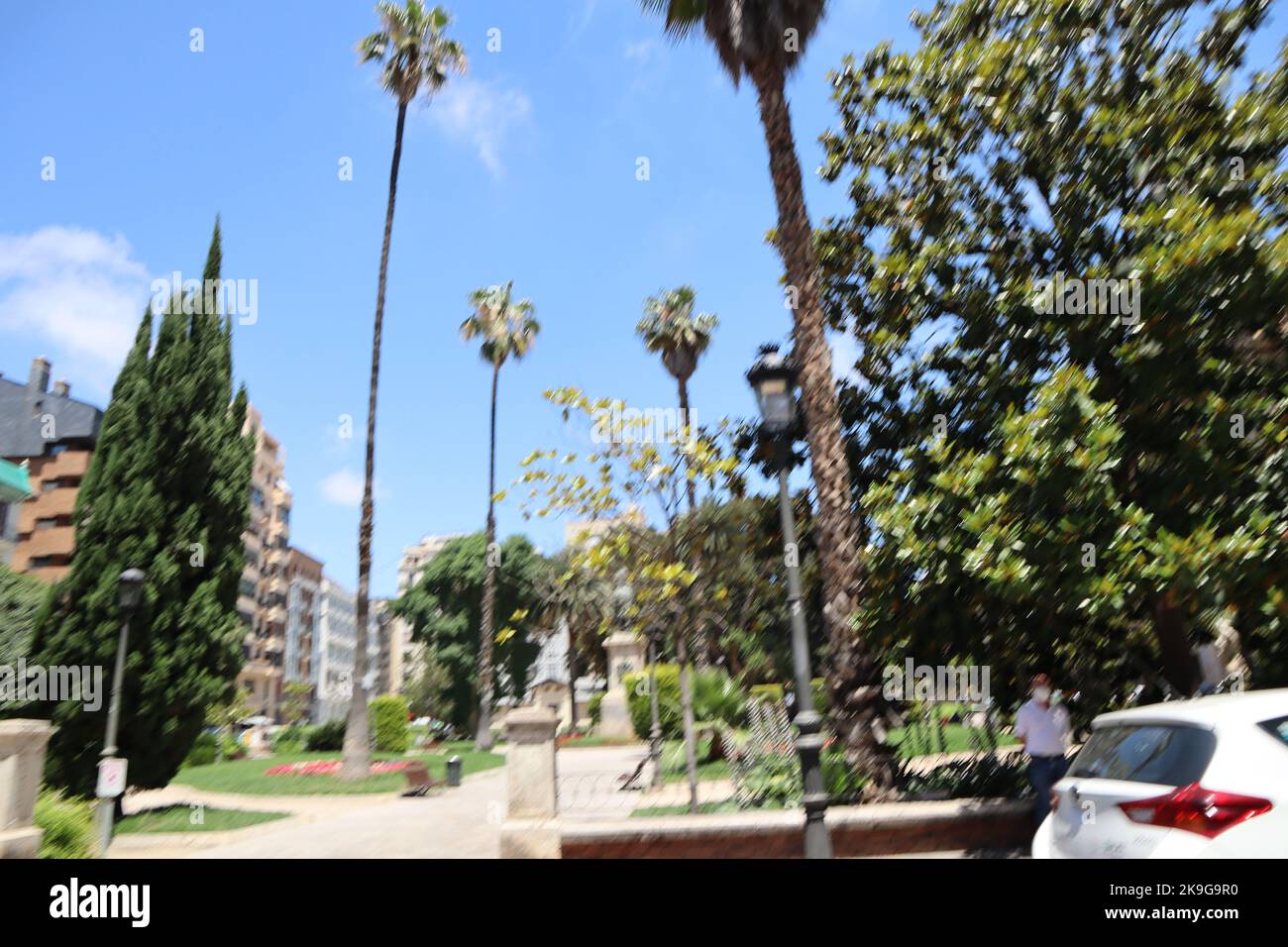 green trees in a small beautiful park in the middle of Valencia Stock ...