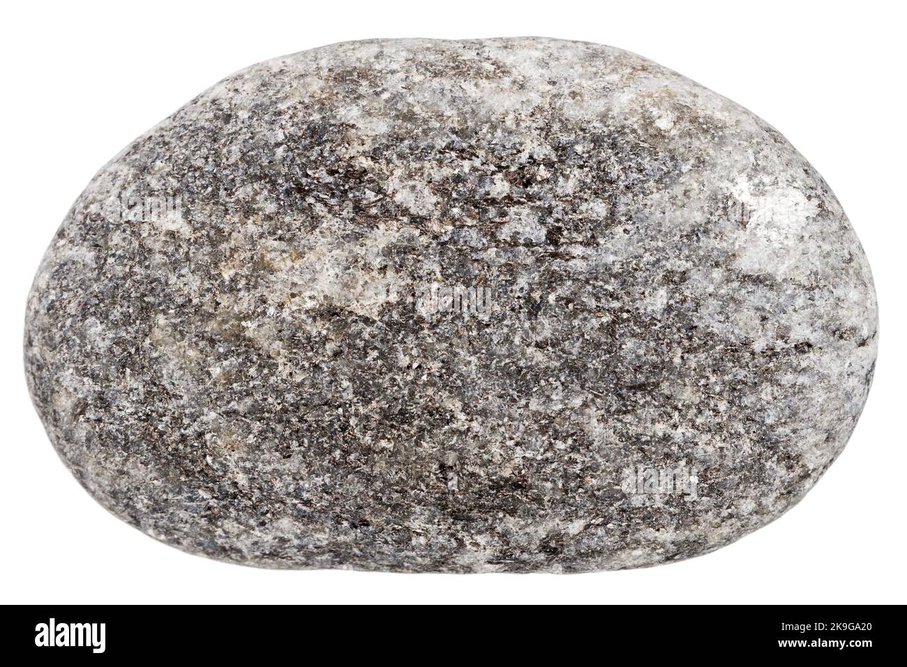 Top view of single gray pebble isolated on white background Stock Photo ...