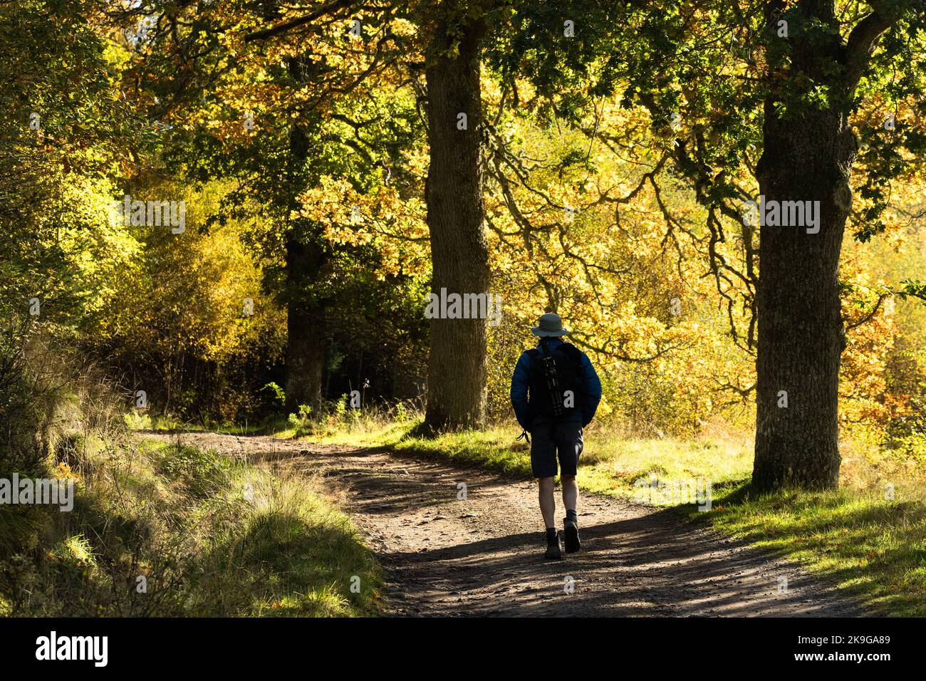 Braan Walk, The Hermitage, Dunkeld, Perthshire, Scotland, UK Stock ...