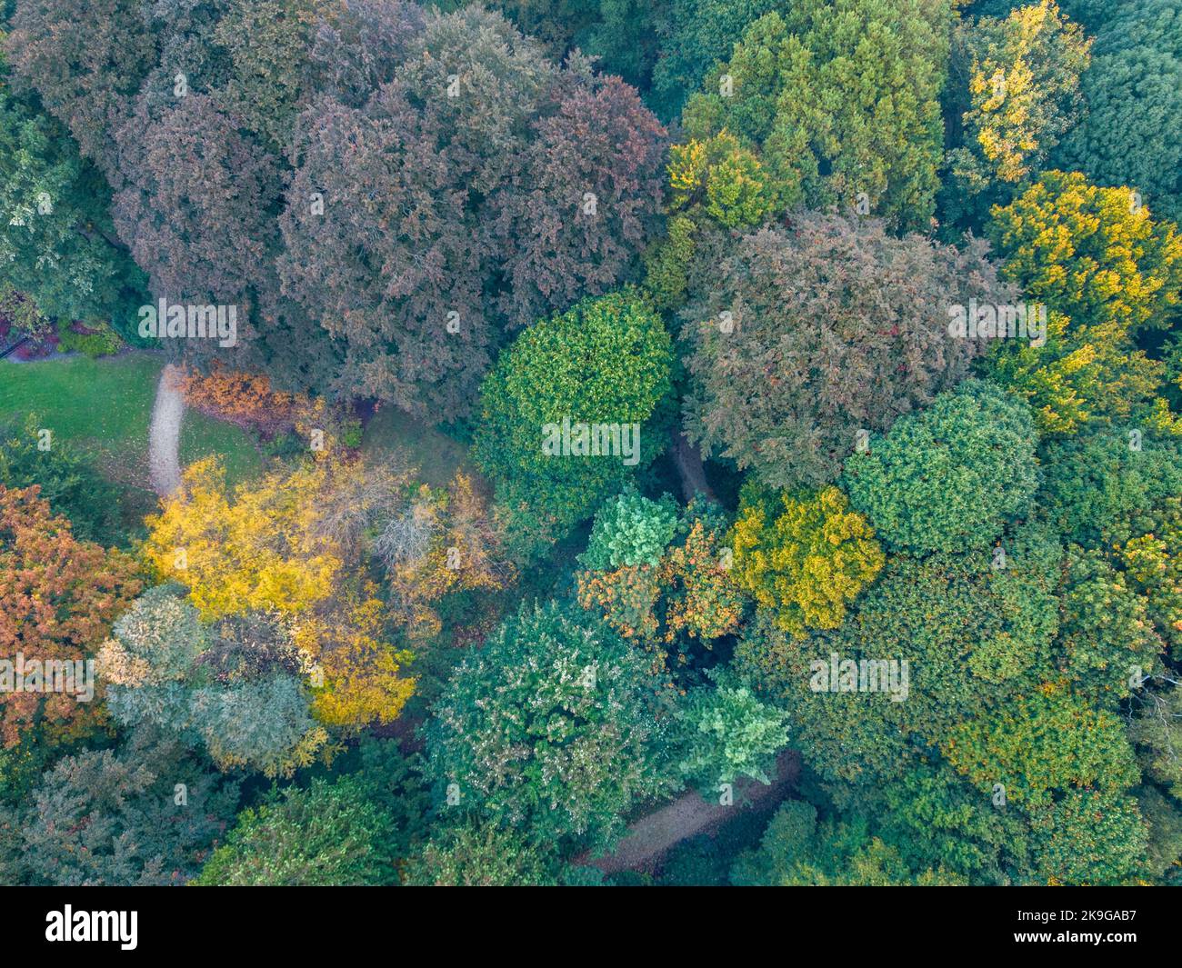 Aerial landscape fall colors in hi-res stock photography and images - Alamy