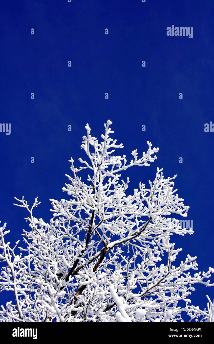 Icy cold scene hi-res stock photography and images - Alamy