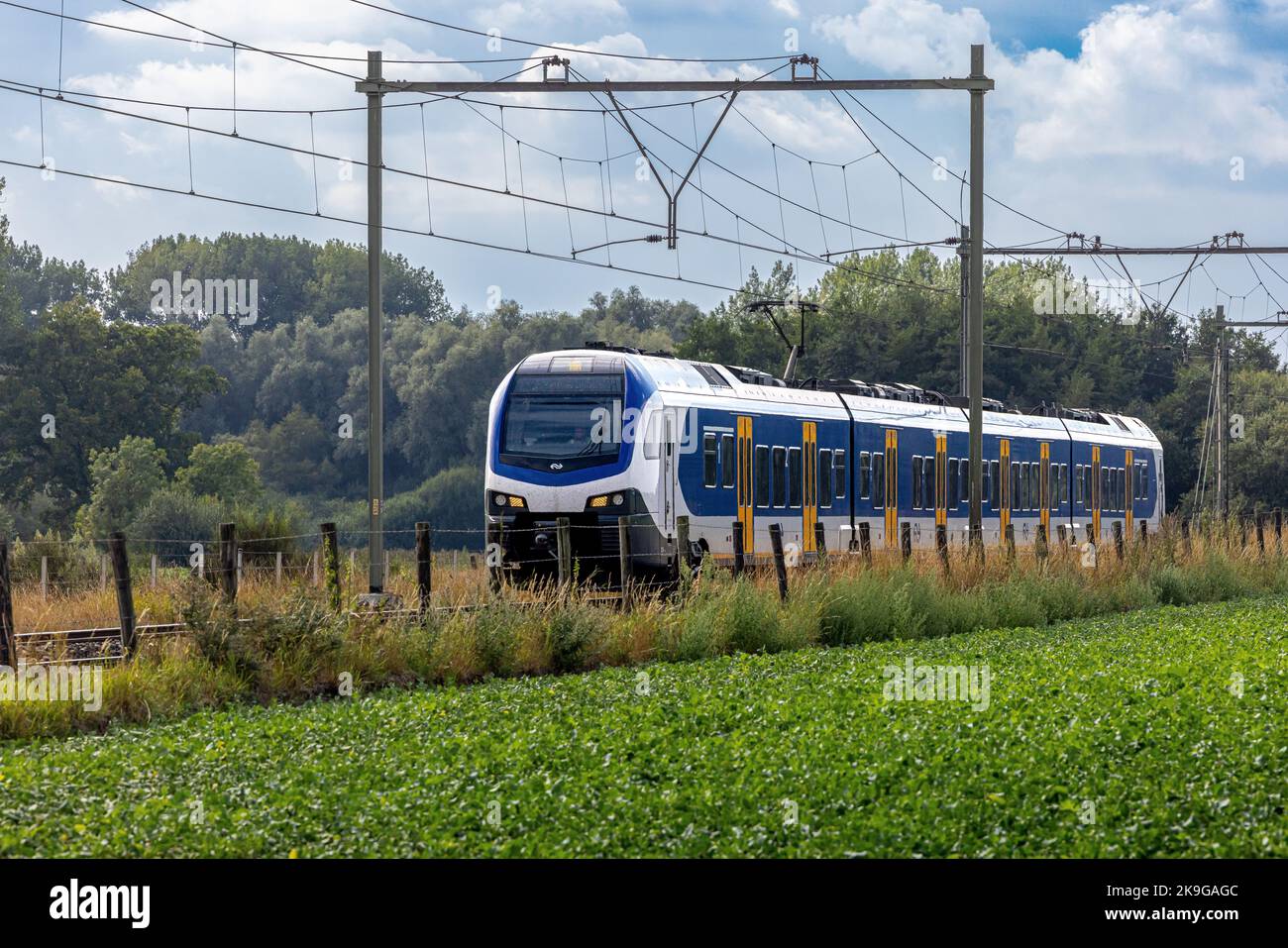 A sunny day while a NS sprinter train riding on a Dutch railway Stock ...