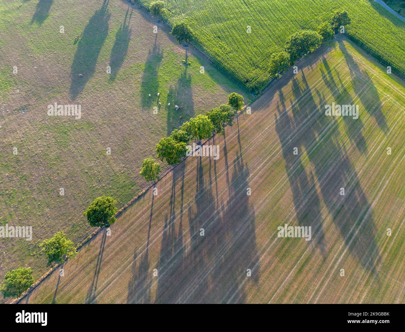 Subdivision building plot hi-res stock photography and images - Alamy