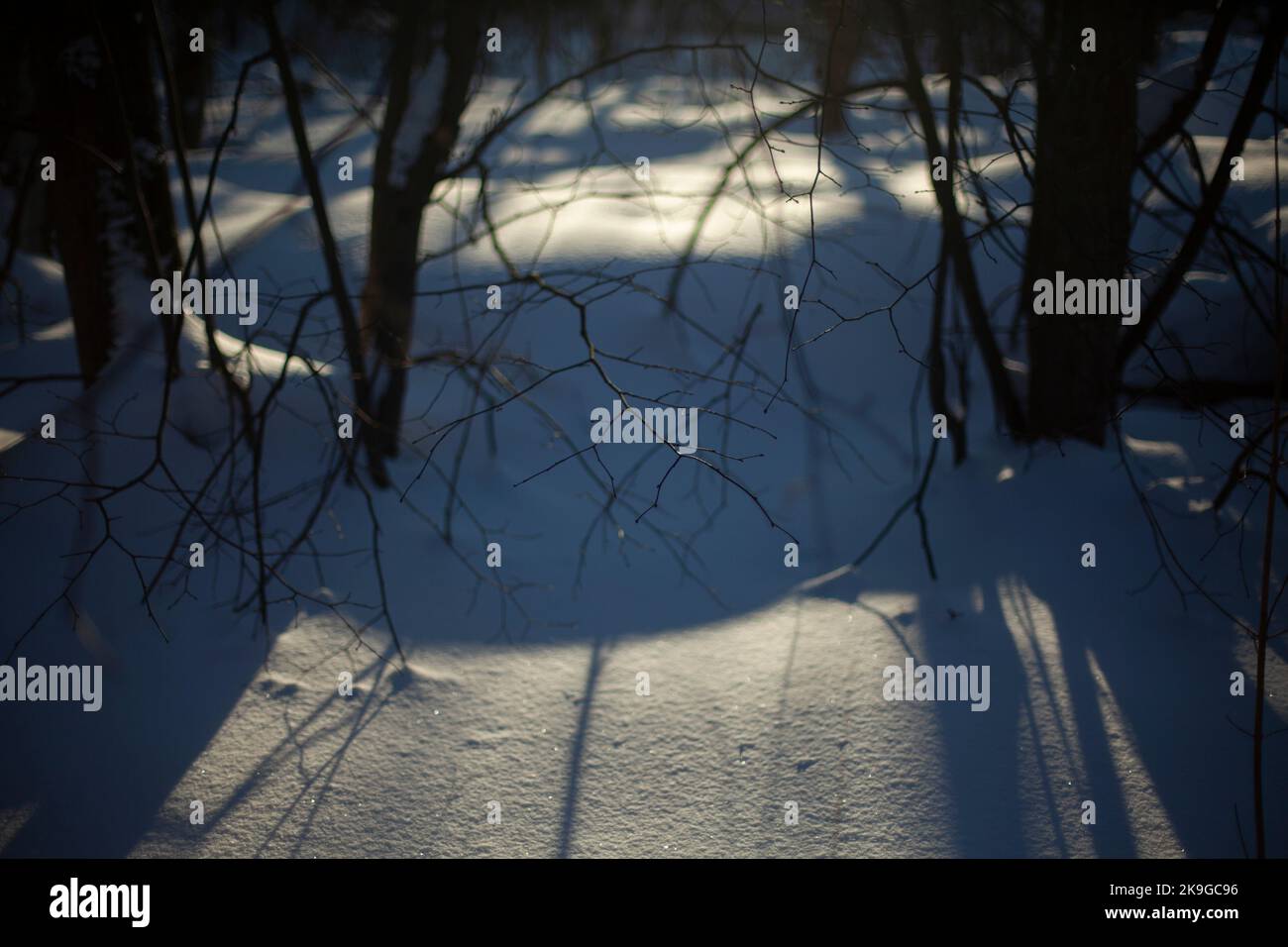 Light in snow. Details of winter nature. Cool shades. Snow cover Stock ...