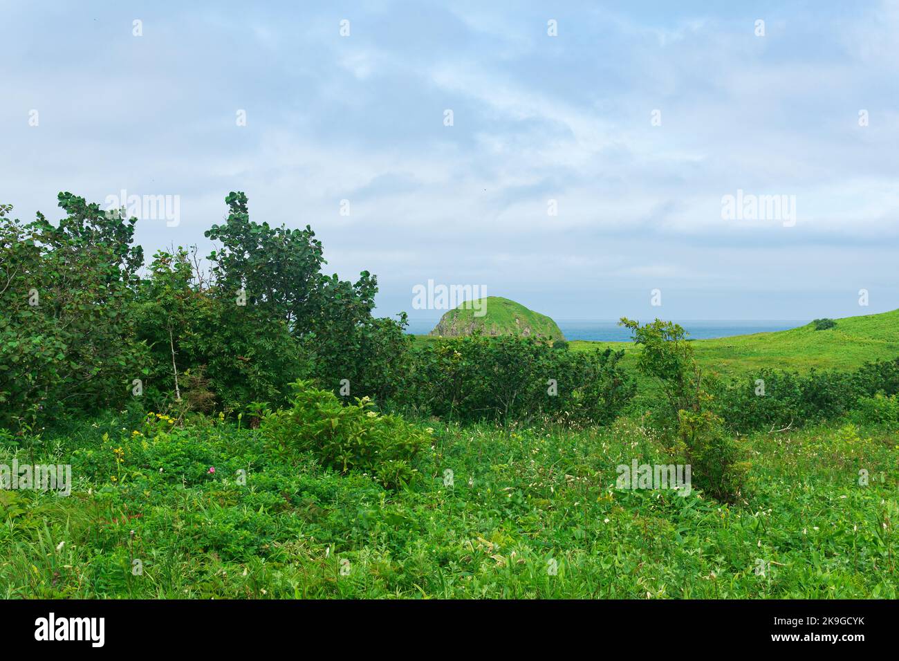 natural landscape of Kunashir island with grassy hills, volcanic rocks ...