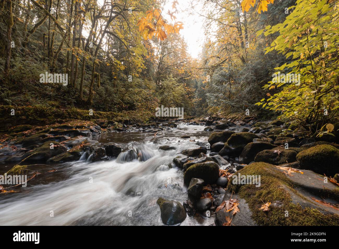 Beautiful pacific northwest hi-res stock photography and images - Alamy