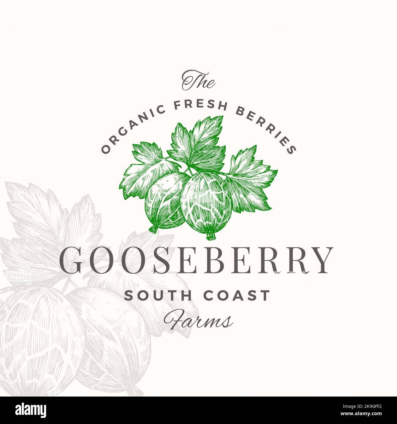 Gooseberry Badge Logo Template. Hand Drawn Berries Sketch with Retro ...