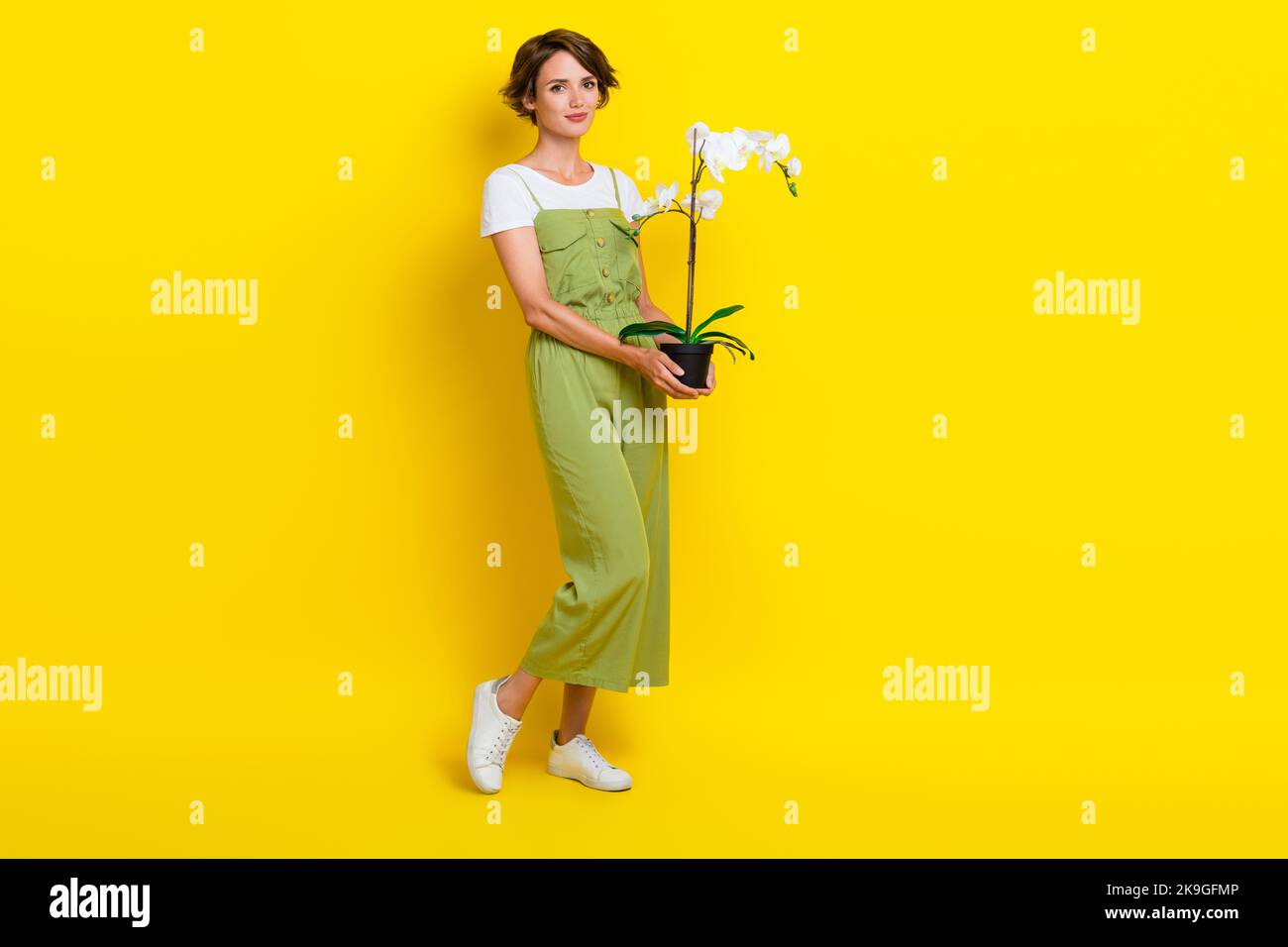 Full body photo of pretty young lady holding 8 march present orchid ...