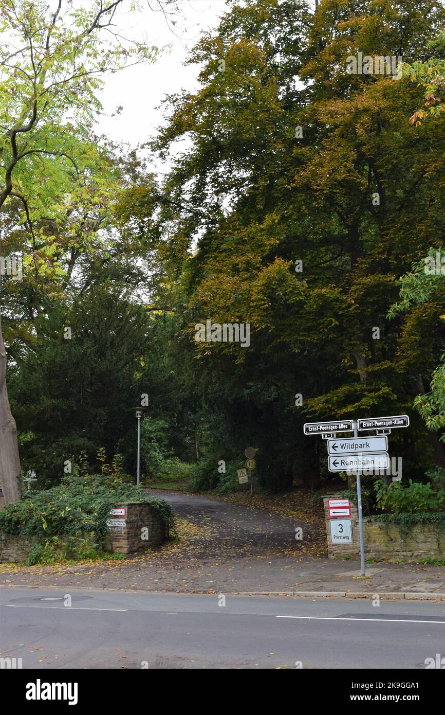 Grafenberger wald hi-res stock photography and images - Alamy