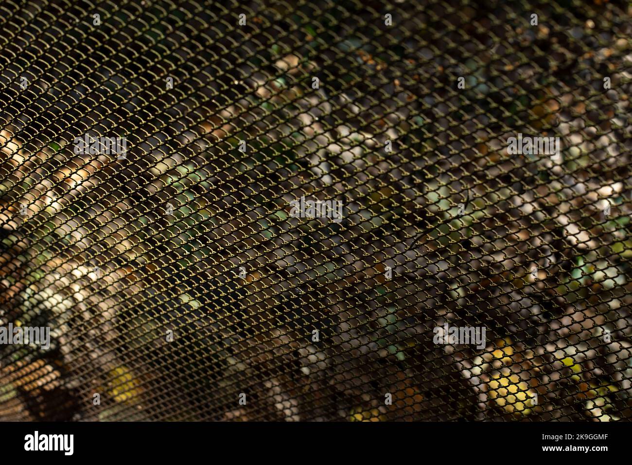 Mesh steel texture. Grid in sunlight. Fence in detail. Background light ...