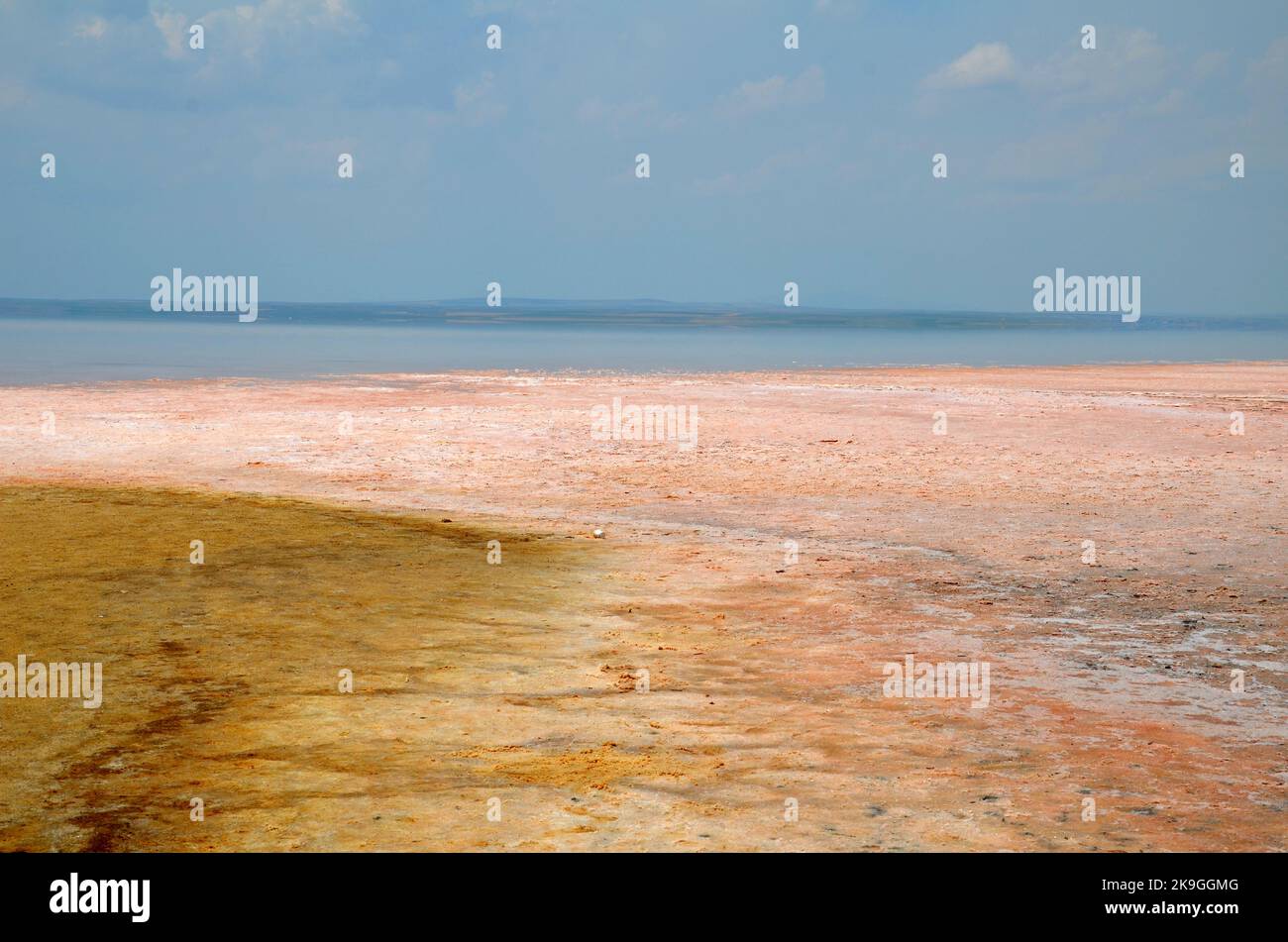 Pink colouring hi-res stock photography and images - Alamy