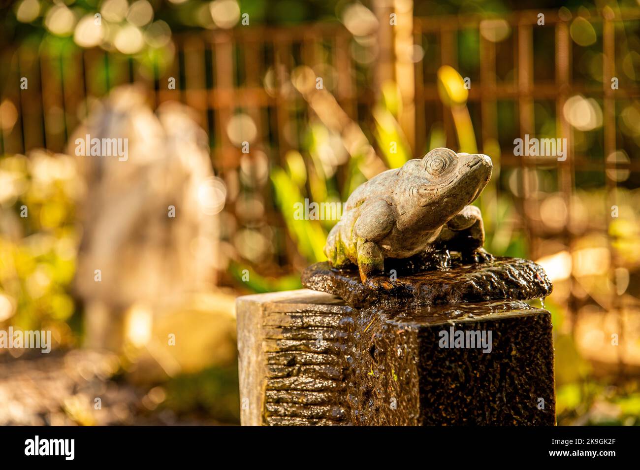 The close-up view of a stone-made frog figurine in a fenced greenery ...