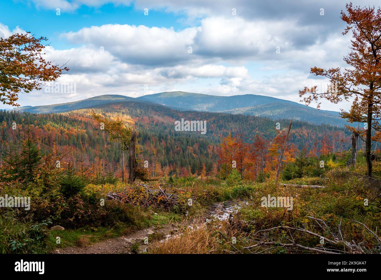 Mechy hi-res stock photography and images - Alamy