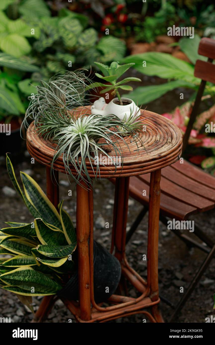 Perfect sitting area hi-res stock photography and images - Alamy