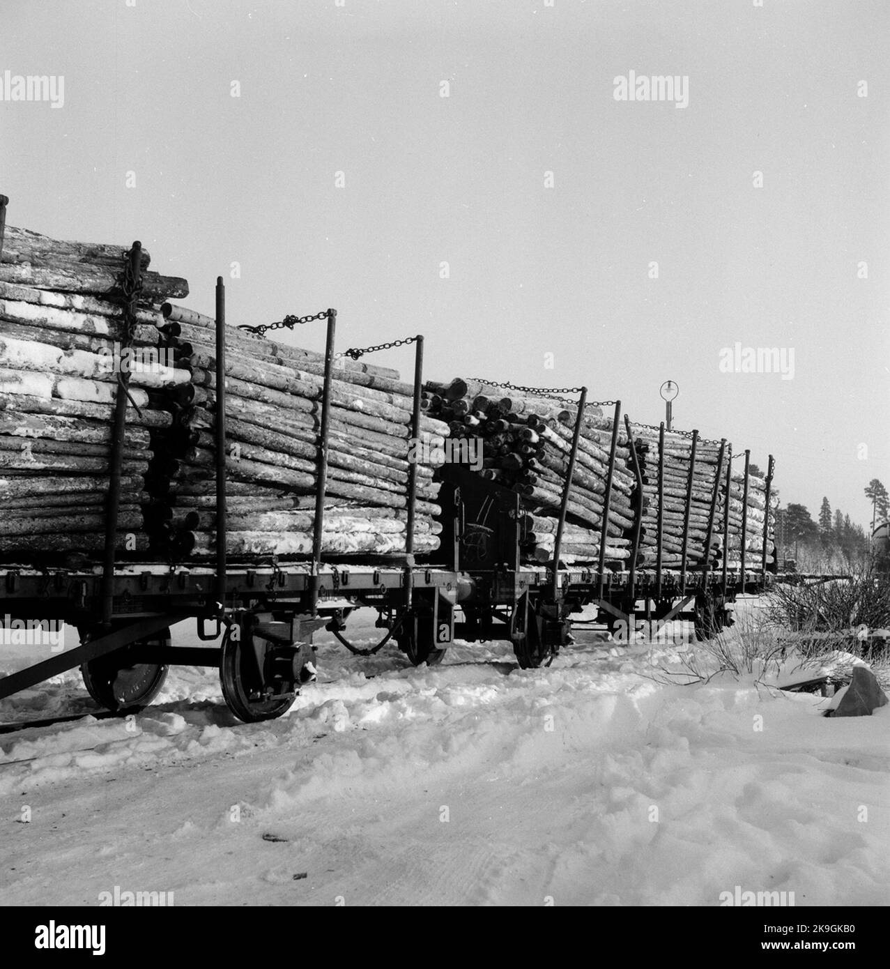 Timber loaded on freight wagon, Glissjöberg Stock Photo - Alamy