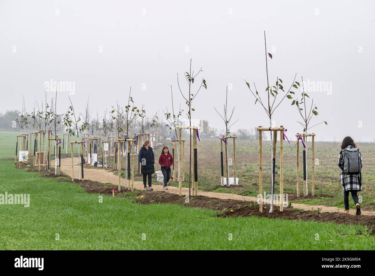 Racineves, Czech Republic. 28th Oct, 2022. Planting of trees in the ...