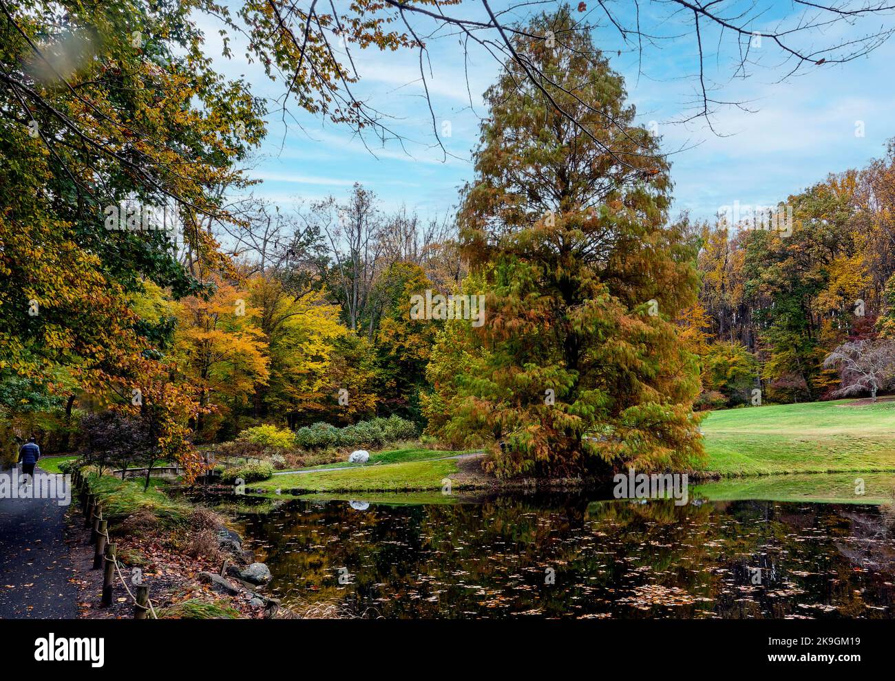 Autumn colors in a park setting Stock Photo - Alamy