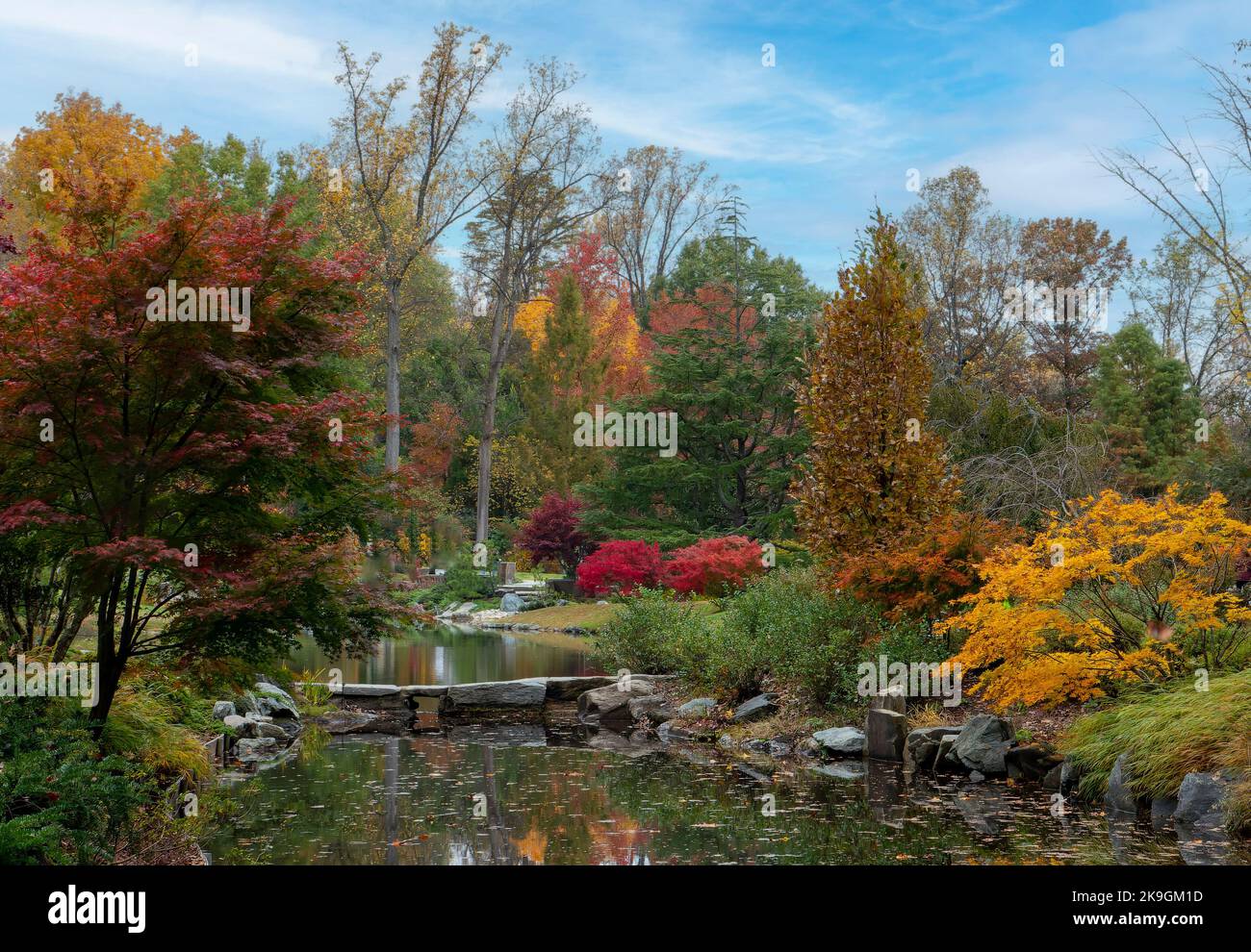 Autumn colors in a park setting Stock Photo - Alamy