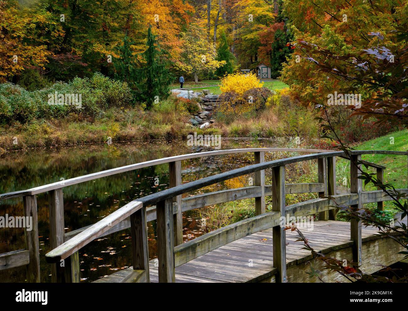 Autumn colors in a park setting Stock Photo - Alamy