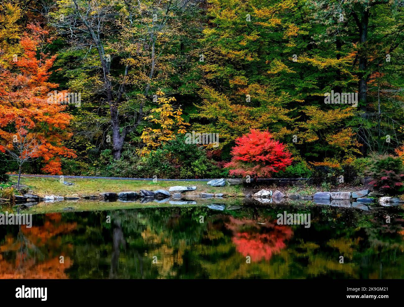 Autumn colors in a park setting Stock Photo - Alamy