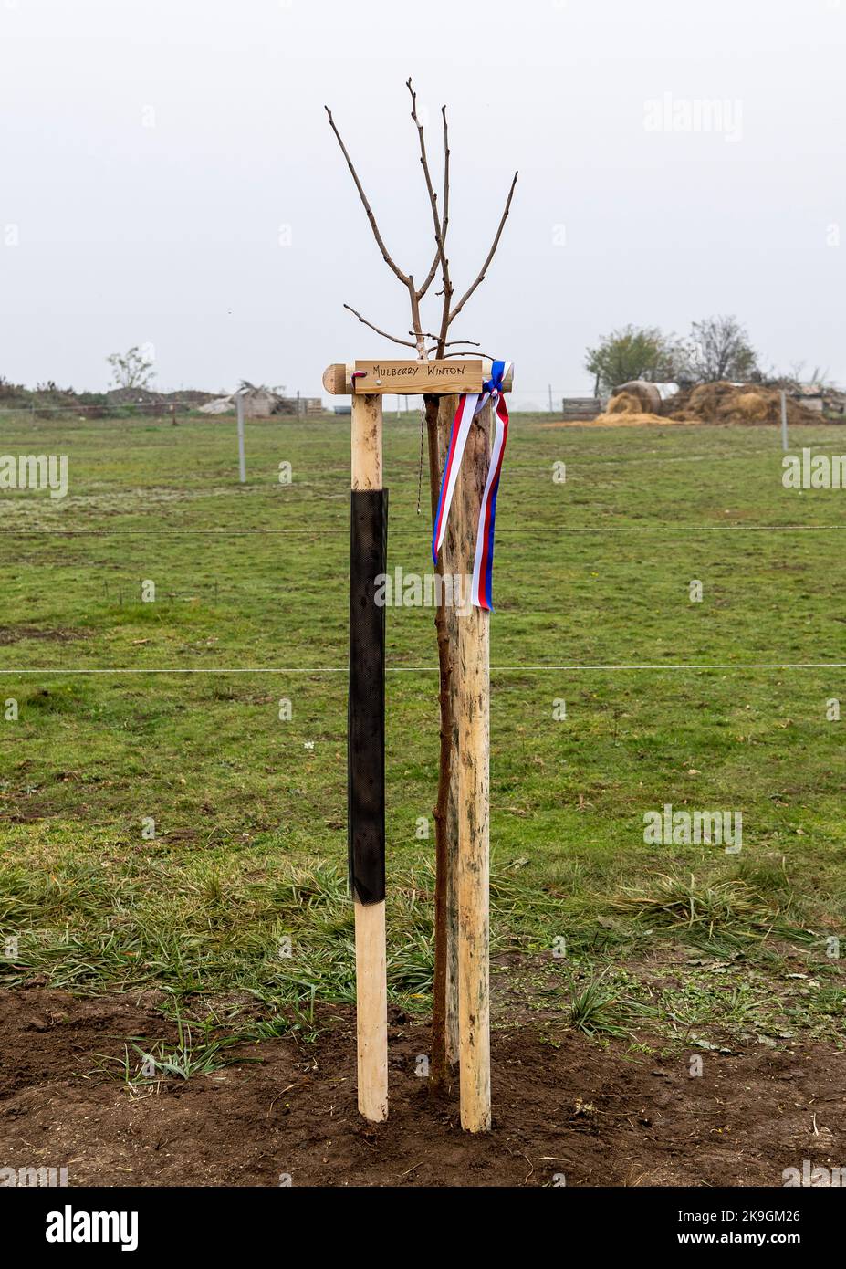 Sir nicholas winton children hi-res stock photography and images - Alamy