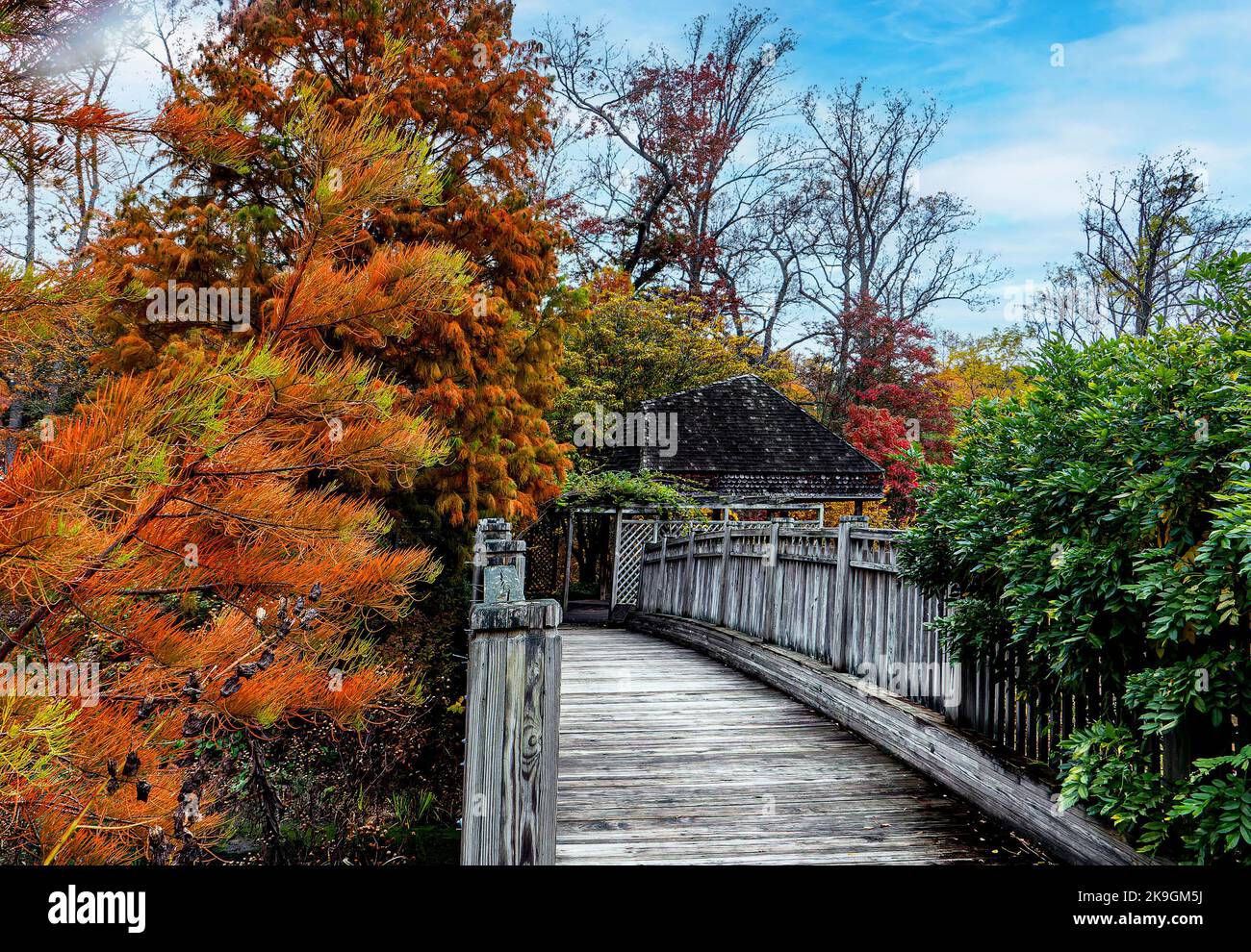 Autumn colors in a park setting Stock Photo - Alamy