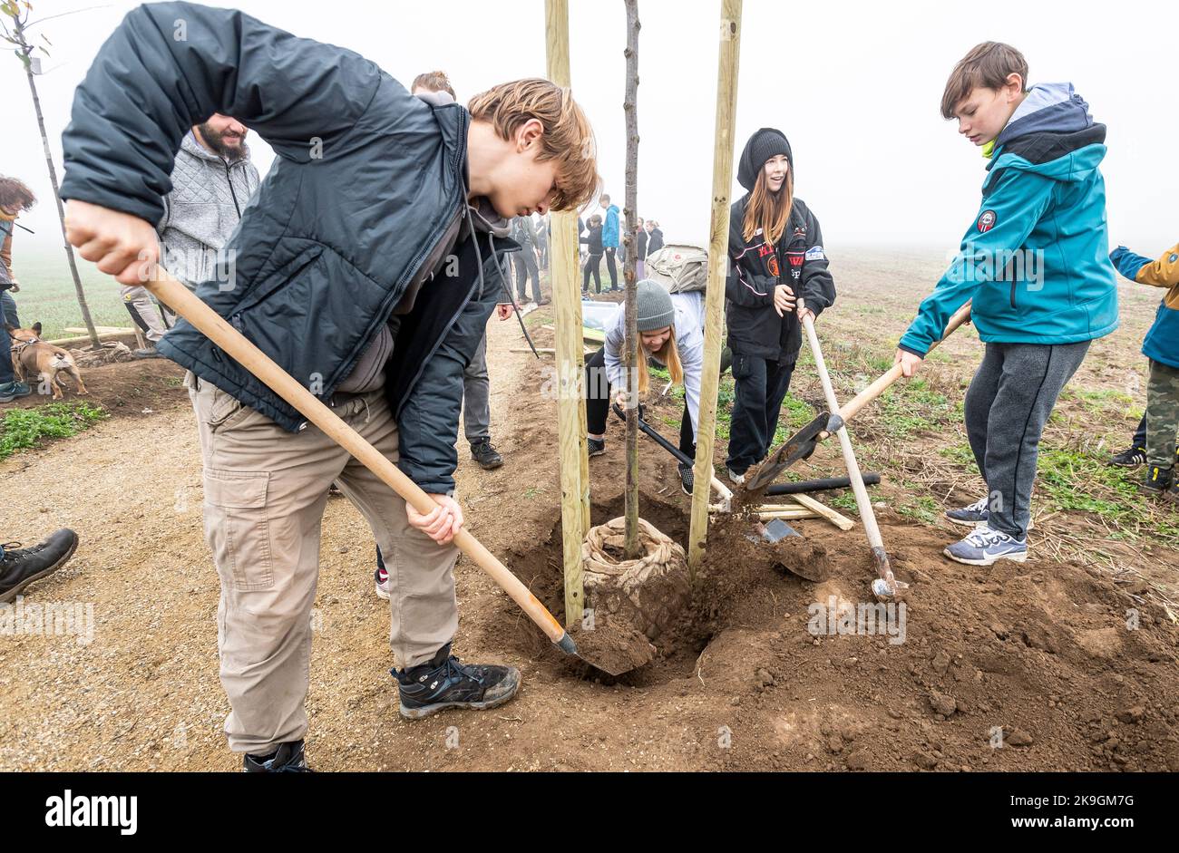 Racineves, Czech Republic. 28th Oct, 2022. Planting of trees in the ...