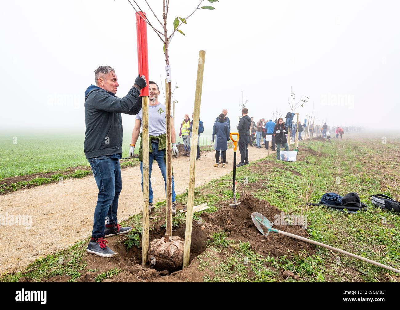 Racineves, Czech Republic. 28th Oct, 2022. Planting of trees in the ...