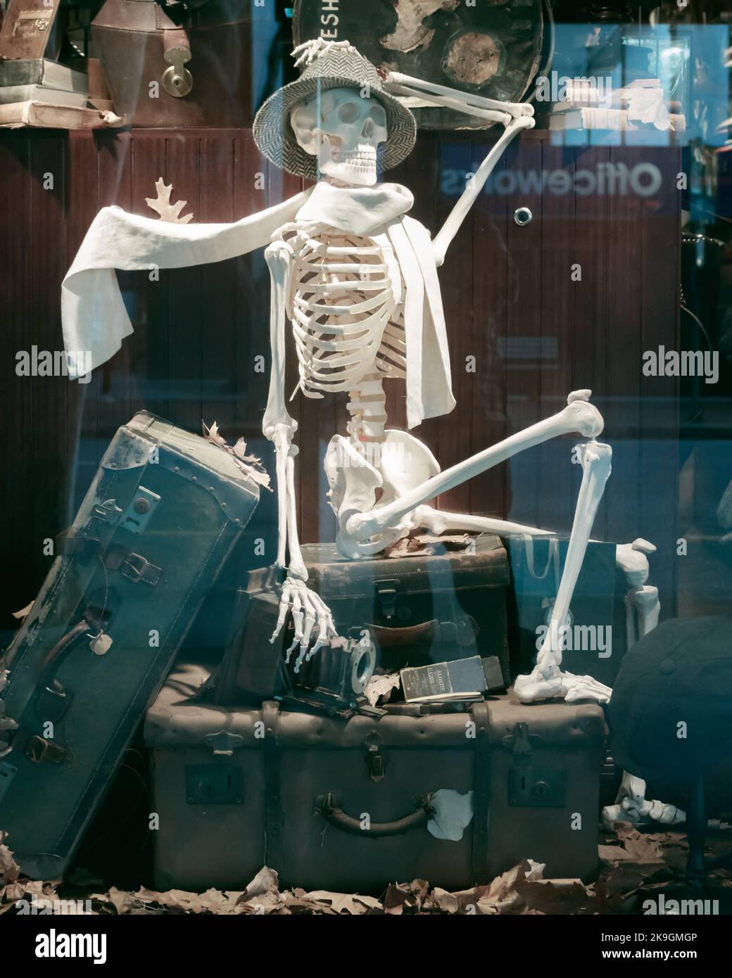 A store display with skeleton in a windy hat sitting on suitcases Stock ...